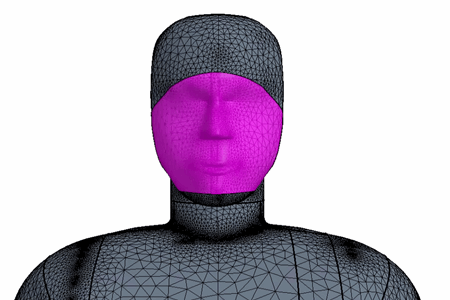 Splitting the Manikin Face Surface