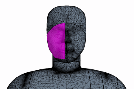 Splitting the Manikin Face Surface